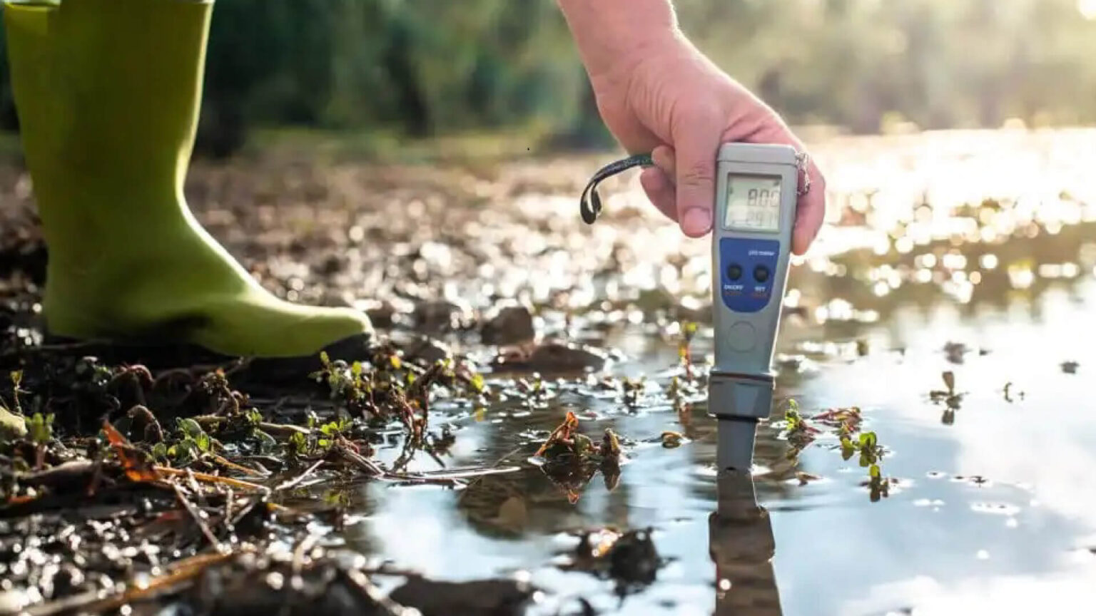 What Is Environmental Monitoring? 7 Types Of Environmental Monitoring